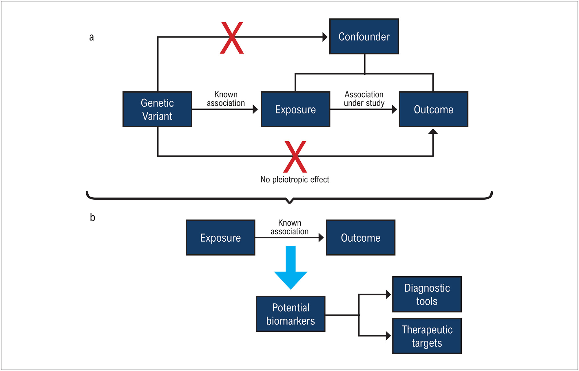 Is This A Causal Relationship Mendelian Randomization As A Statistical